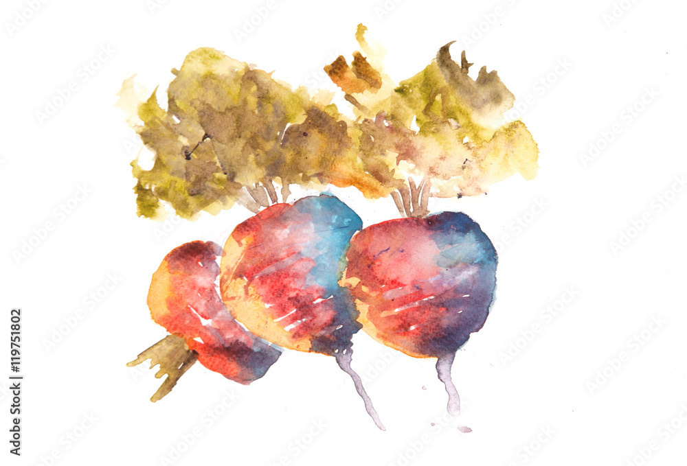 Beetroot Art, watercolor painting, Vegetable still life painting ...