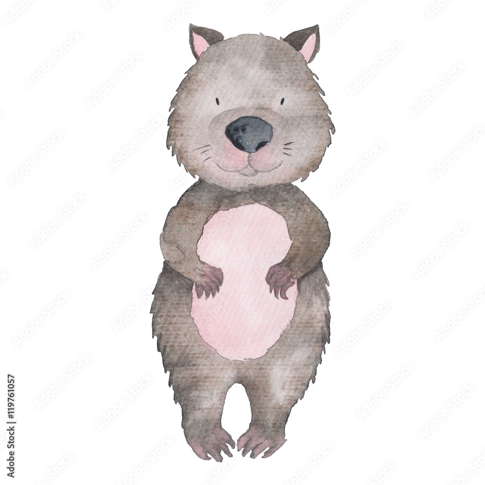 wombat Australian animals watercolor Hand-painted illustration Isolated ...