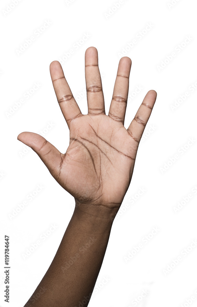 five fingers open hand African american Stock Photo | Adobe Stock five fingers open hand African american Stock Photo | Adobe Stock