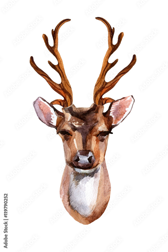Deer - Front View Stock-Illustration | Adobe Stock