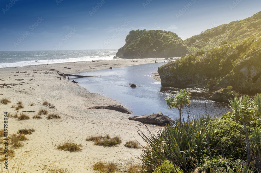 River estuary at Tauparikaka Marine Reserve, Haast, New Zealand Stock ...
