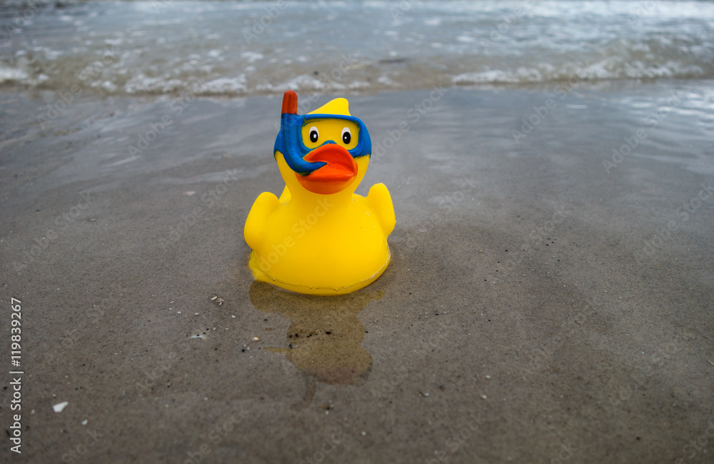 Gummiente am Strand Stock-Foto | Adobe Stock