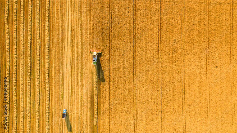 Harvester machine working in field . Combine harvester agriculture ...