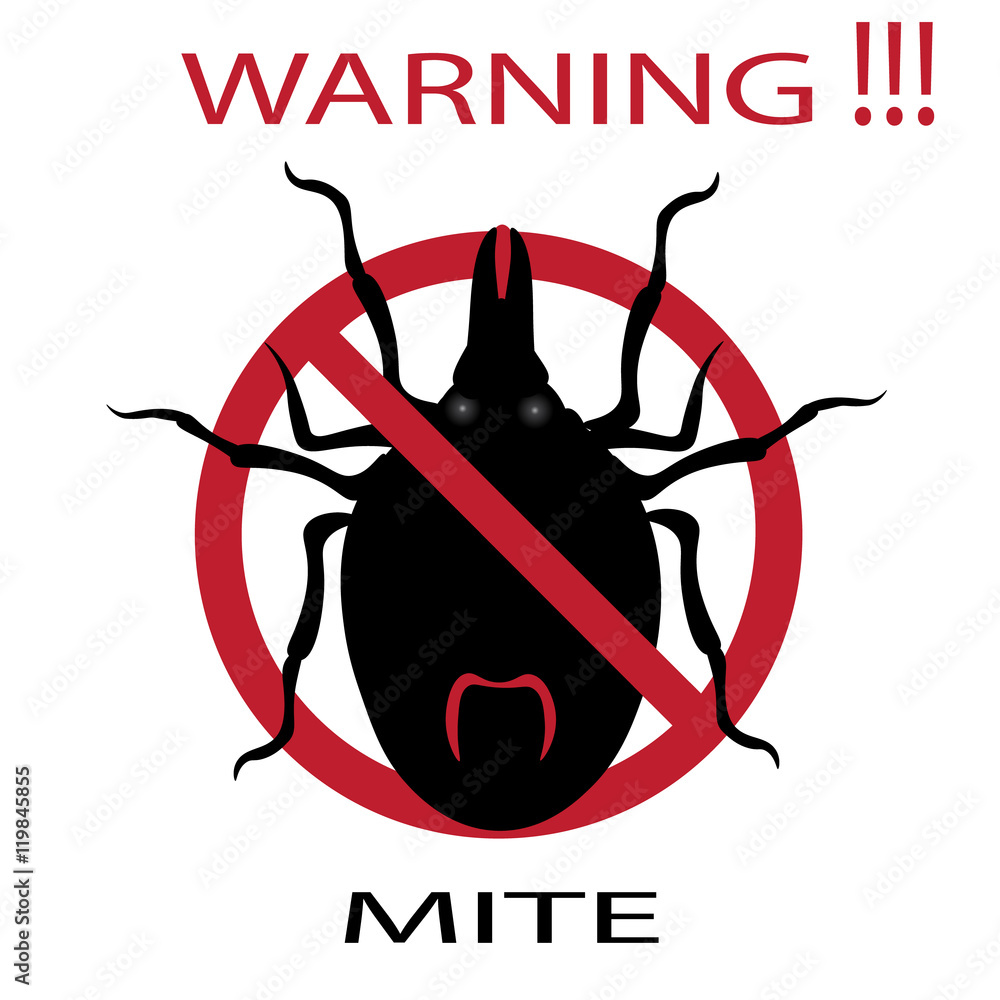 Symbol parasite warning sign. Mite spider. Mite red. Mite allergy ...