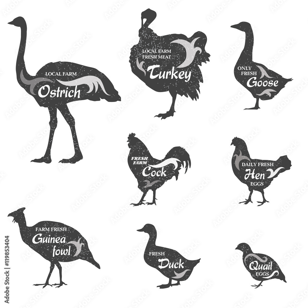Poultry icon set. Poultry silhouette collection for groceries, meat ...