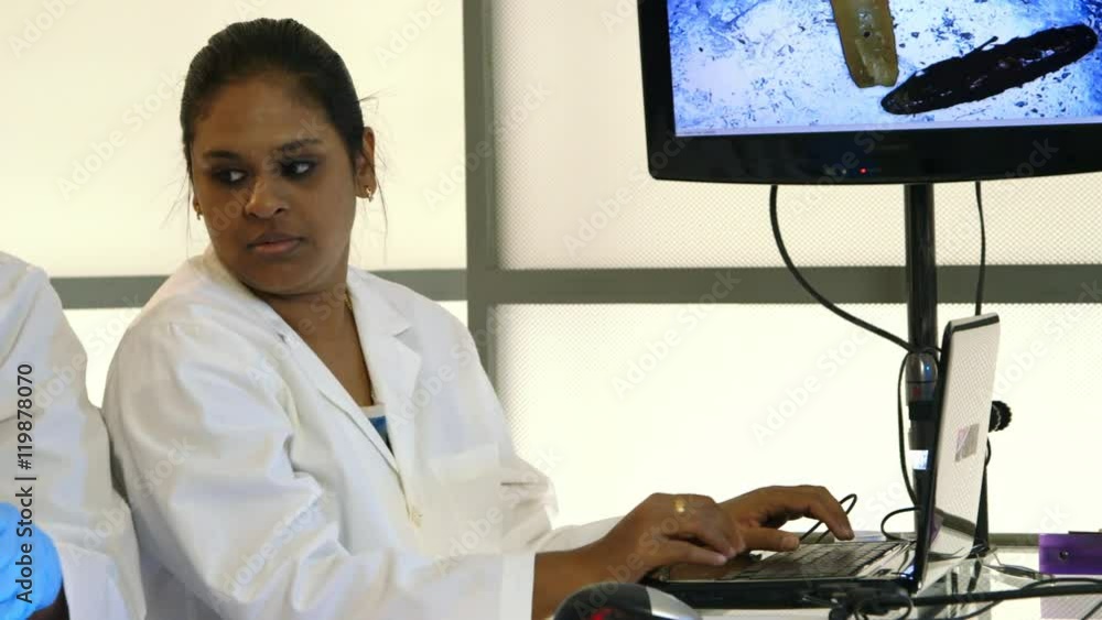 A female researcher of Indian ethnicity working with a laptop turns to ...