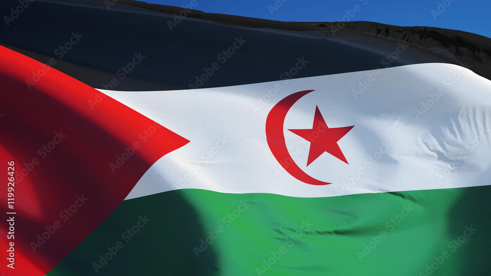 Sahrawi Arab Democratic Republic flag against clean blue sky, close up ...