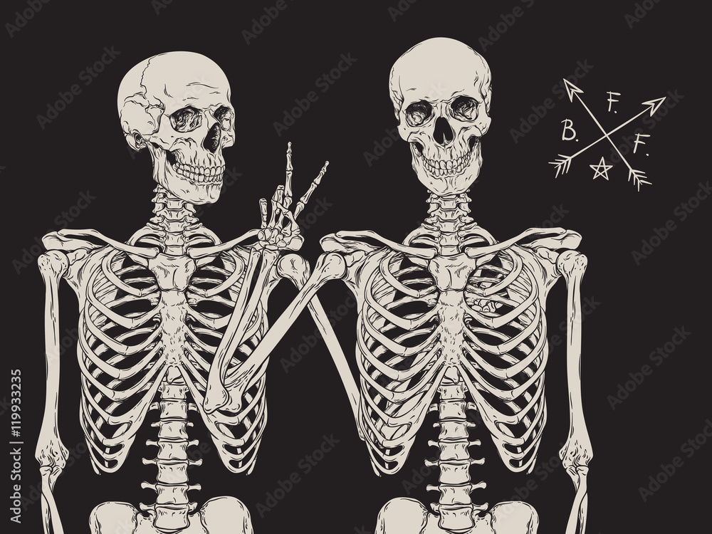 Human skeletons best friends posing isolated over black background ...