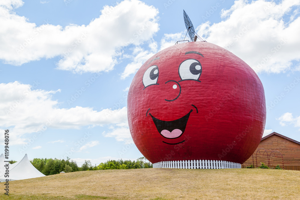 COLBORNE, ONTARIO, CANADA - July 09, 2016: Big apple with an ...