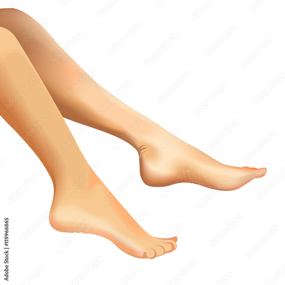 Vector illustration of female feet isolated on white background ...