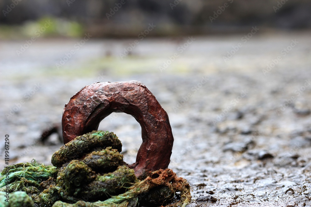 Rusted Iron Ring