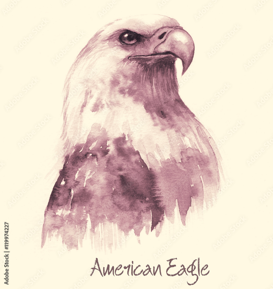 Hand-drawn watercolor drawing of the beautiful eagle. The symbol of the ...