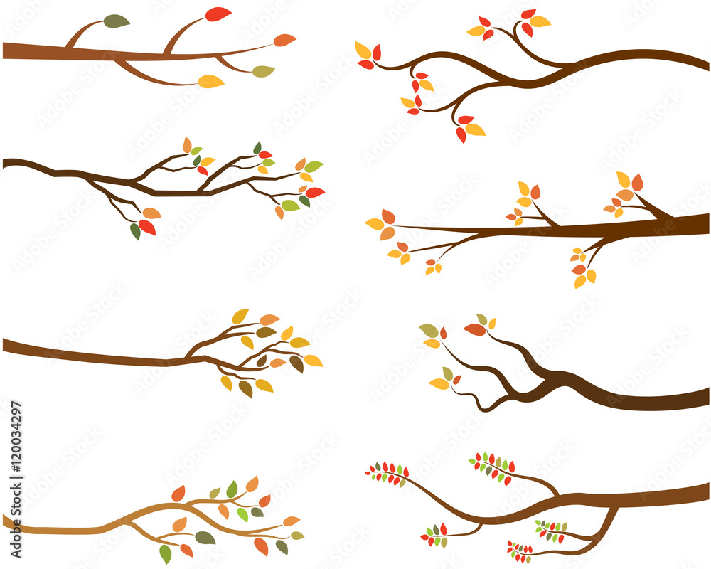 Autumn Tree Branch Vector