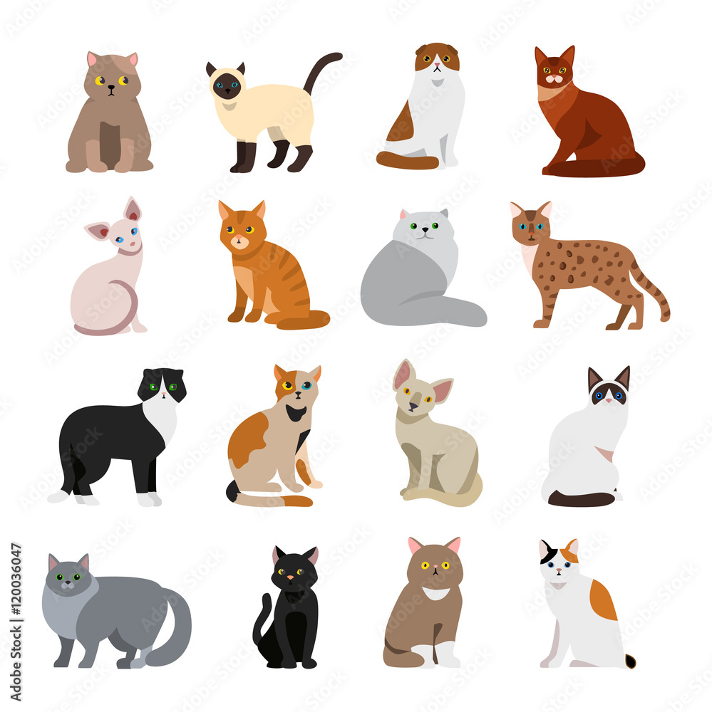 49 Breeds Of Cats Chart Svg Jpg Png 1620 Cat Breeds Funny Cats And 49-breeds-of-cats-chart-svg-jpg-png-1620-cat-breeds-funny-cats-and