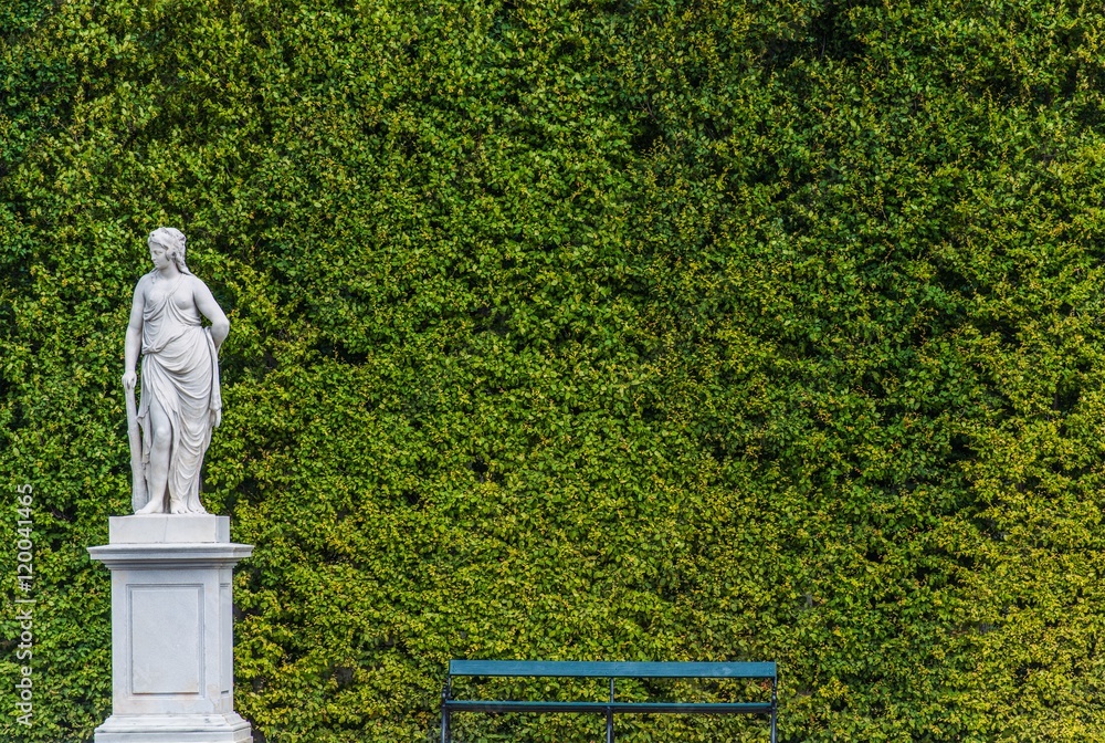 Hedge Art Background Stock Photo | Adobe Stock