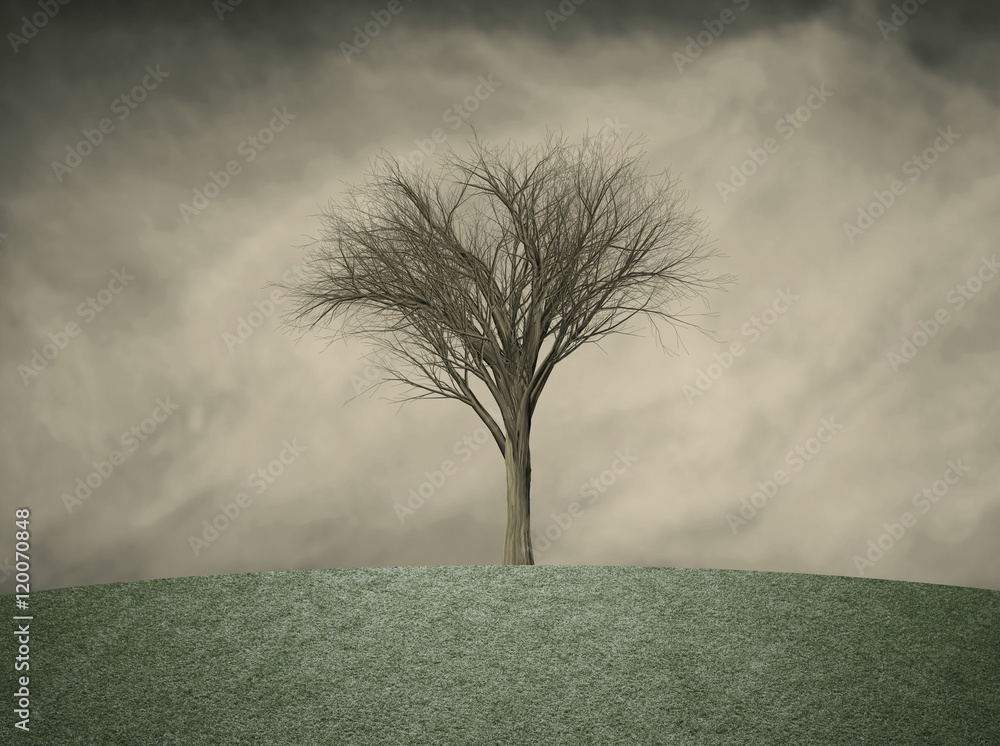 Single autumn tree with crown without leaves on dark grunge sky ...