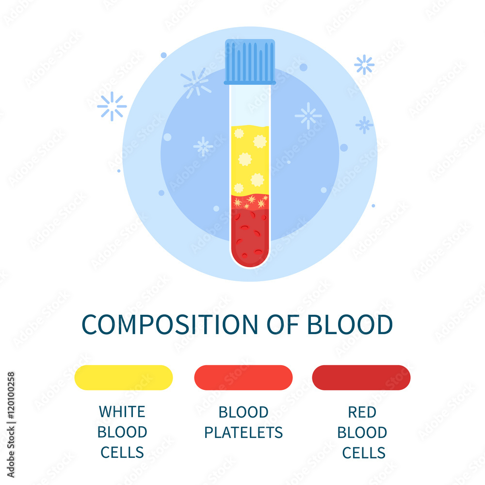 Composition of blood. Blood components in a test tube- white cells, red ...