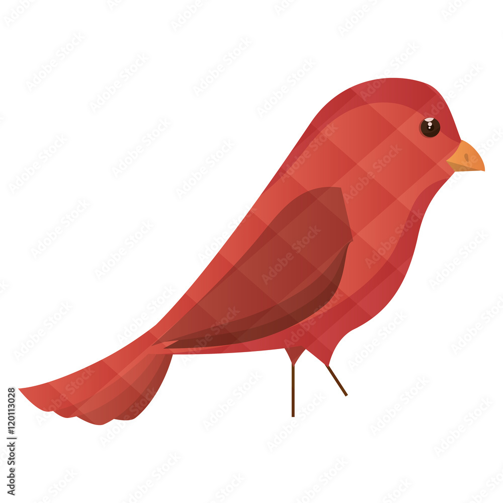 red bird cartoon abstract texture colorful animal. side view. vector ...