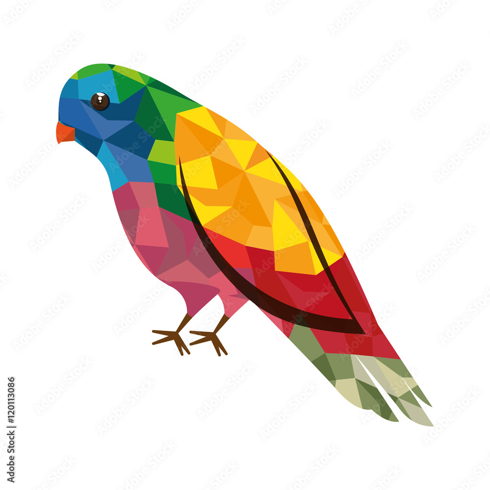 bird cartoon abstract texture colorful animal. side view. vector ...