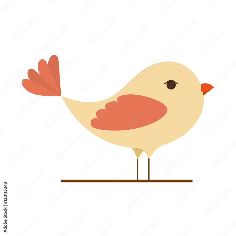 bird cartoon colorful animal. side view. vector illustration Stock ...