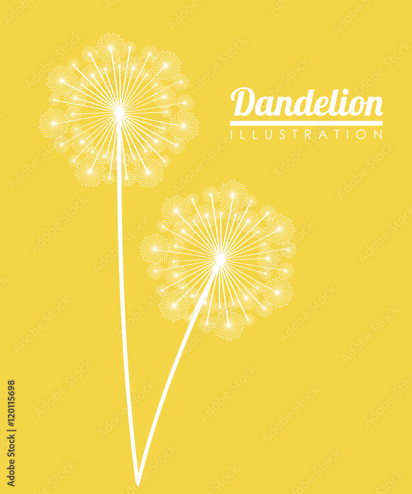 White dandelion icon. Summer seed plant and flower theme. Colorful ...