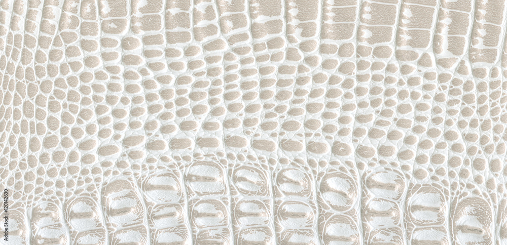 texture of skin Stock Photo | Adobe Stock