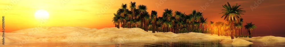 panorama of the oasis in the desert. sunset in oasis. Stock ...