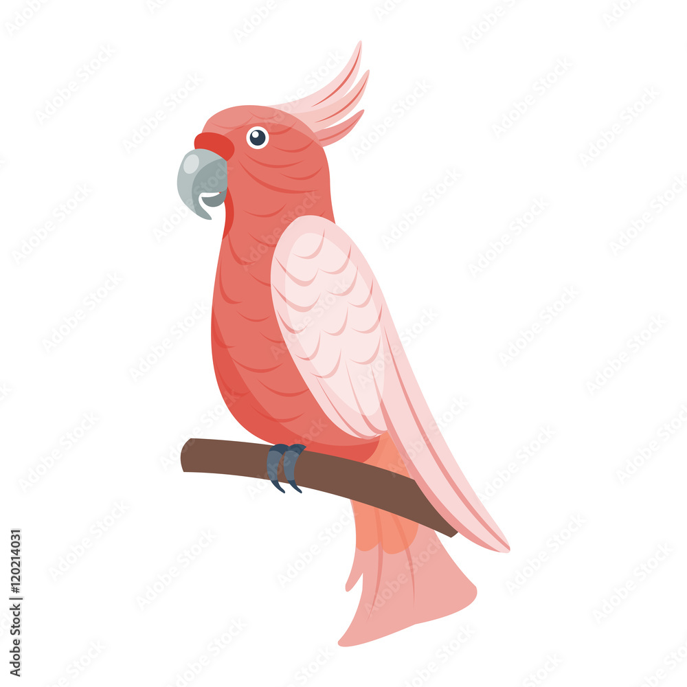 Cartoon parrot wild animal bird. Tropical parrot feather zoo bird ...