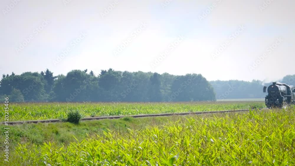Old steam locomotive pulling railroad passenger cars in the countryside ...