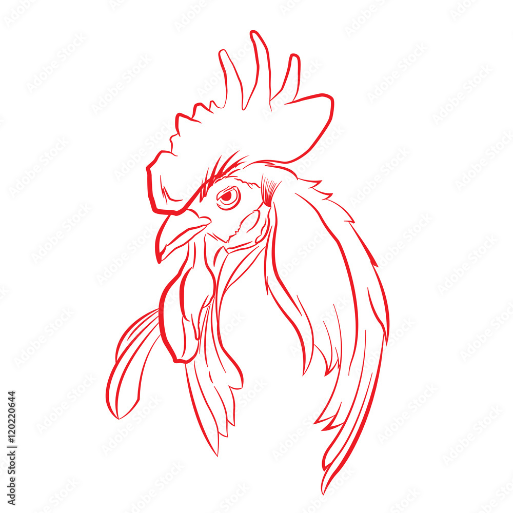 Rooster in graphical style, hand drawn Illustration, year of rooster ...