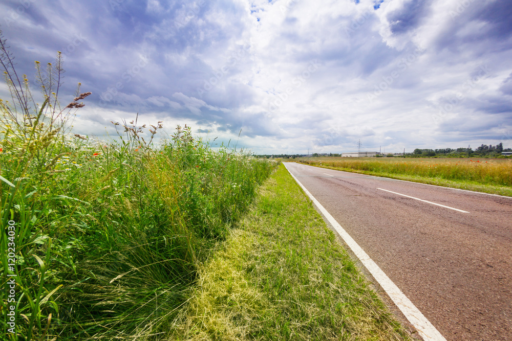 Straße, Straßenrand, Felder, Himmel, Wolken Stock-Foto | Adobe Stock
