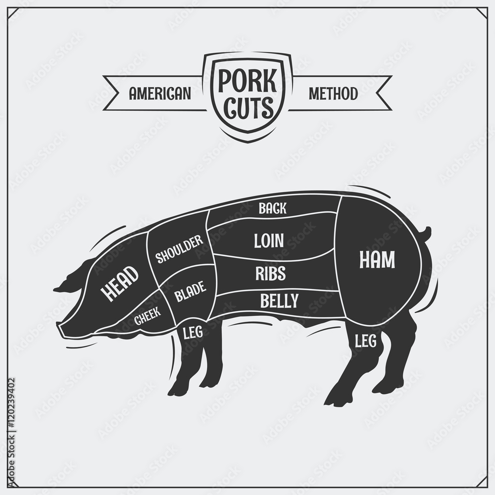 Cuts of pork. American method. Vector monochrome illustration. Vintage ...