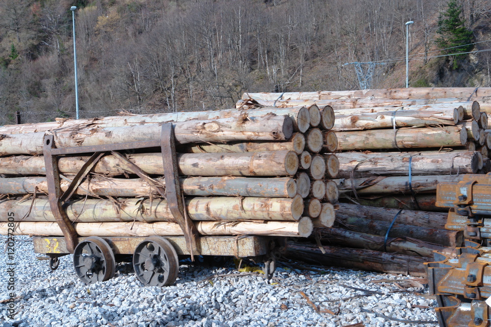 vagoneta cargada con madera para entibación dentro de la mina Stock ...