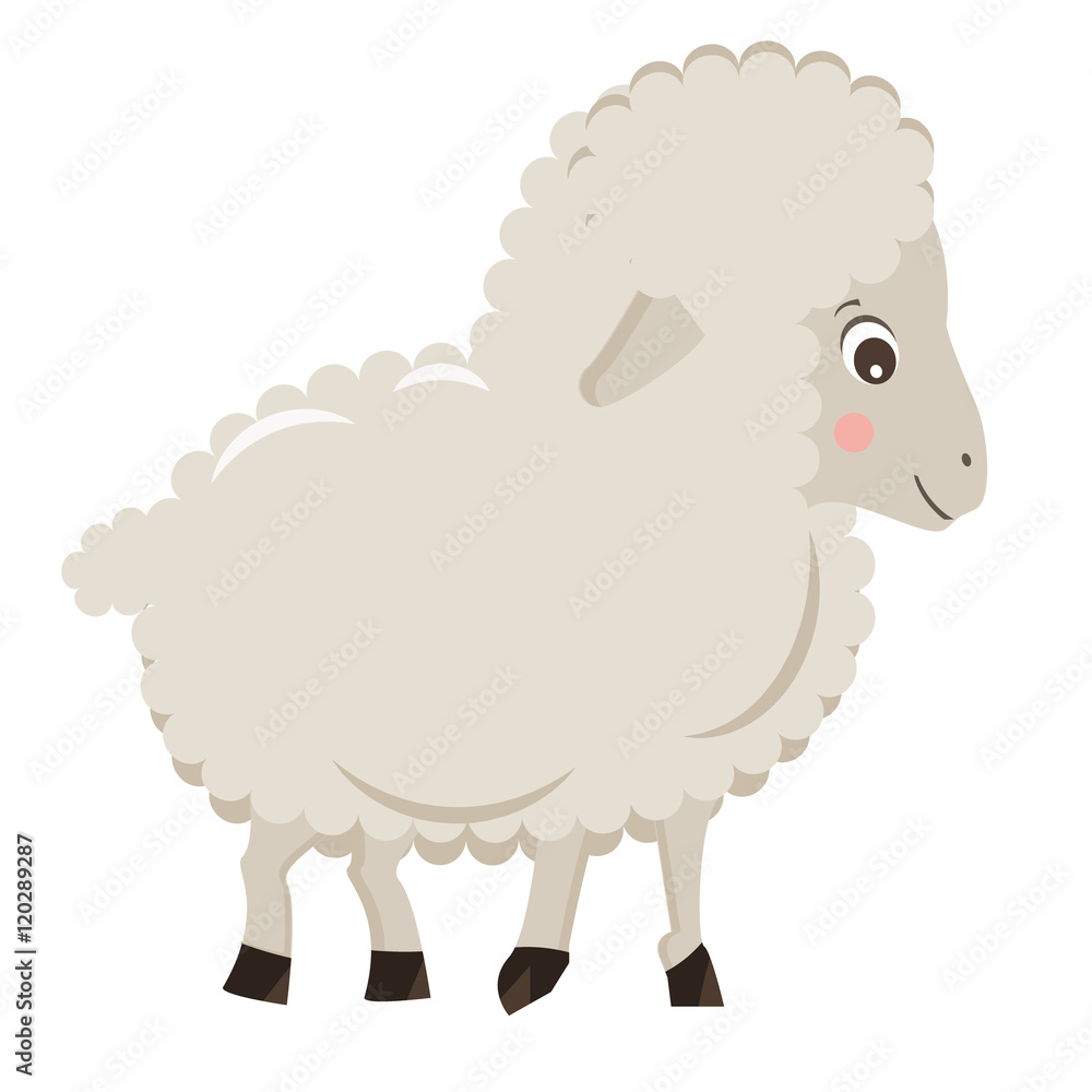 Cute cartoon little sheep isolated on white background, vector ...