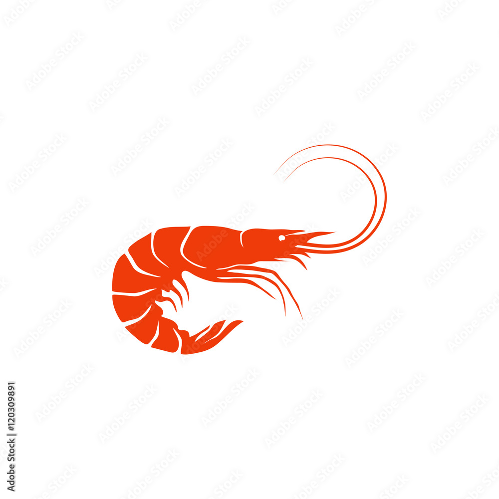 brine shrimp logo Stock Vector | Adobe Stock
