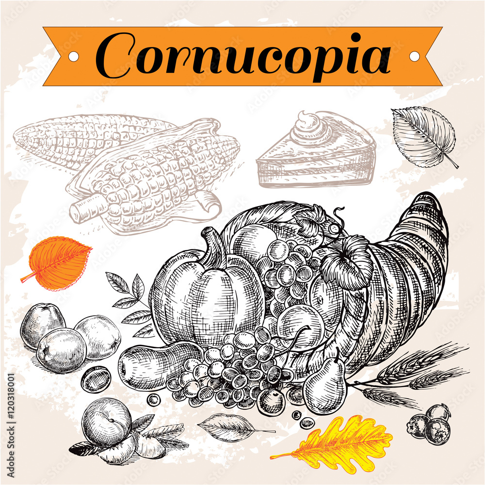 Vettoriale Stock hand drawn sketch cornucopia | Adobe Stock