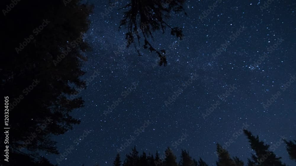 Stars Time Lapse Sky Turning Space with forest foreground ...