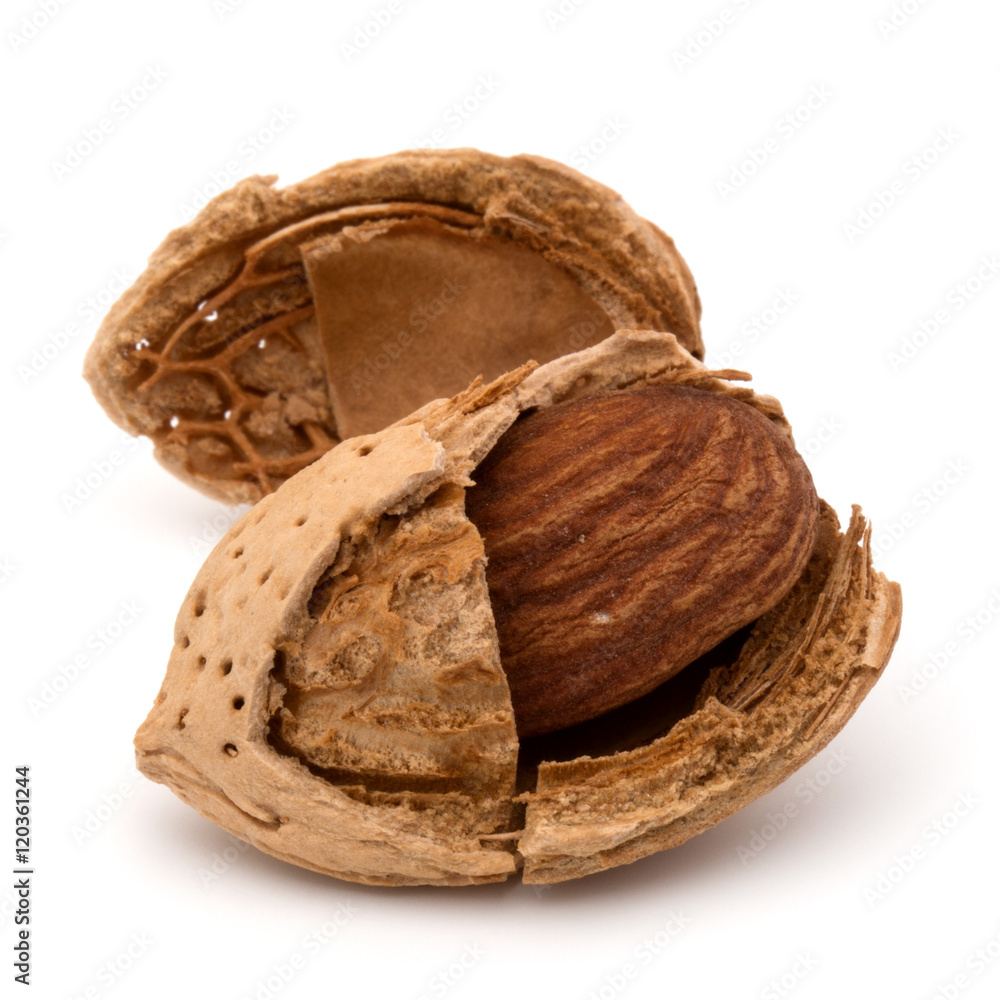 Almond nut in shell and shelled isolated on white background clo Stock ...