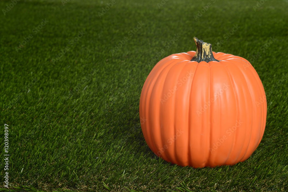 pumpkin on grass Stock Photo | Adobe Stock