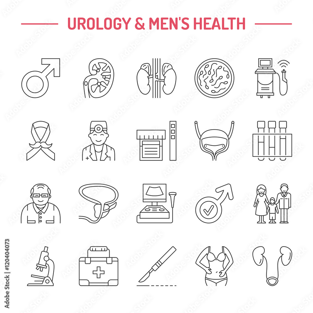 Modern vector line icons of urology. Elements - urologist, bladder ...