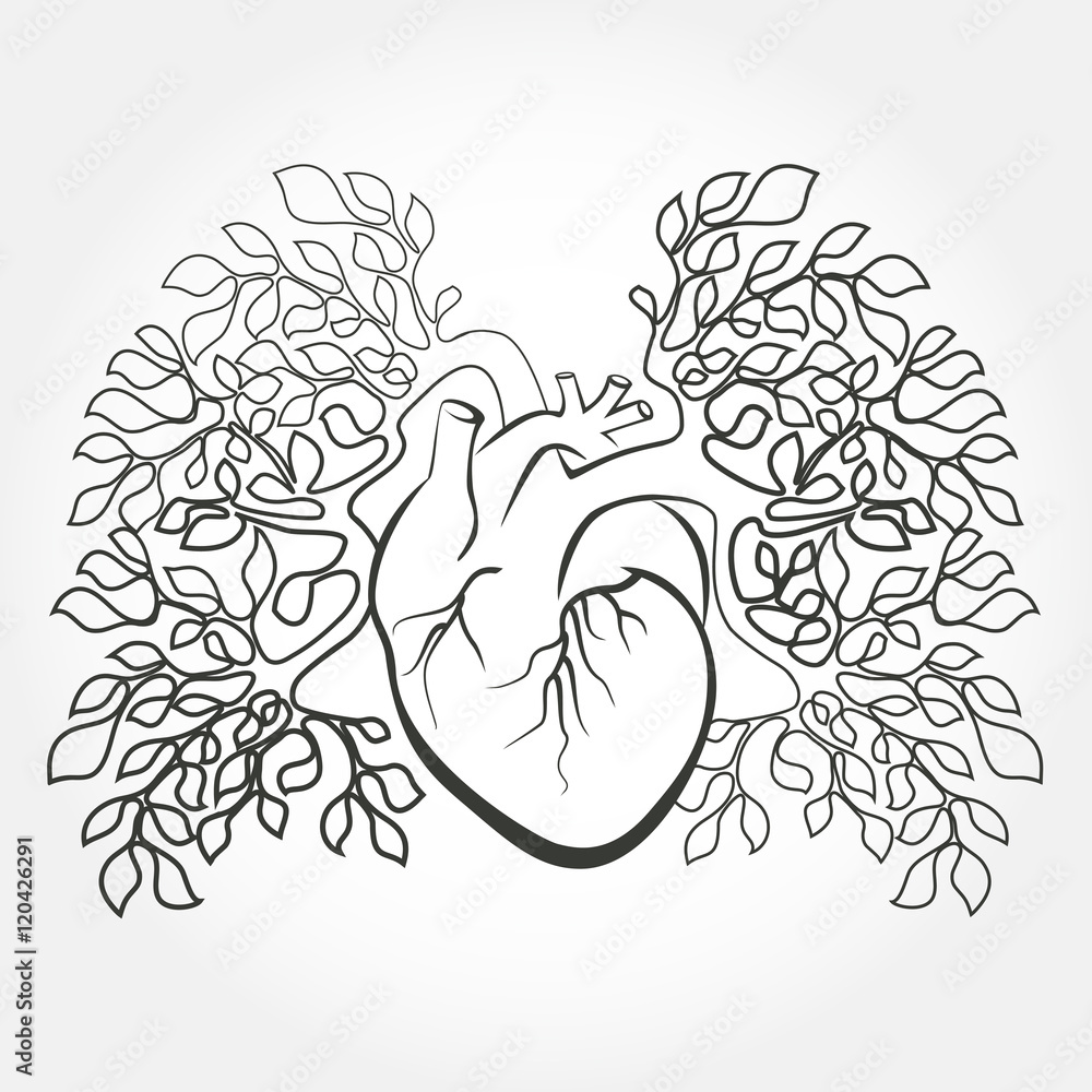 Human heart and lungs like a tree branch. Anatomy art design vector ...