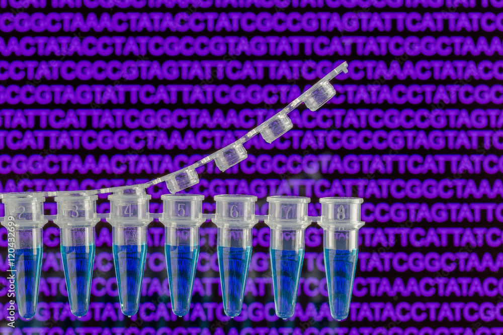 PCR tubes with nucleic acid sequence in the background Stock Photo ...