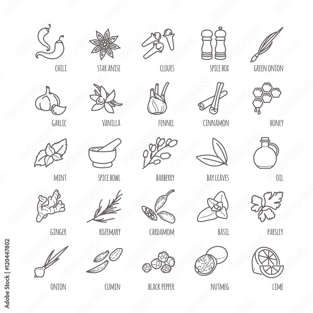 Spices and seasonings vector icons Stock Vector | Adobe Stock