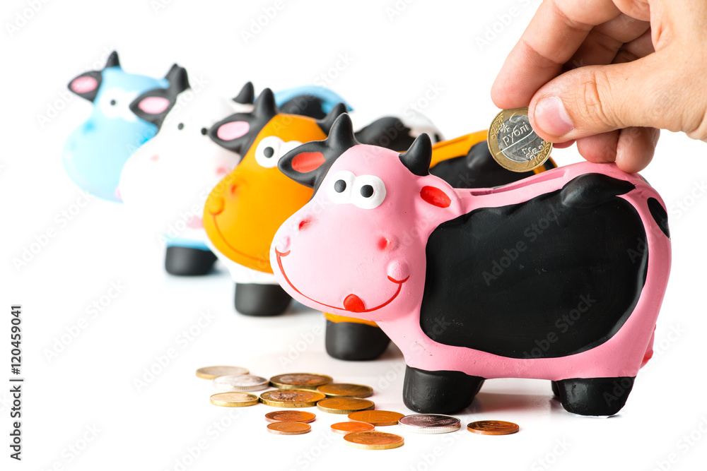 money box cow with coins on white background Stock Photo | Adobe Stock