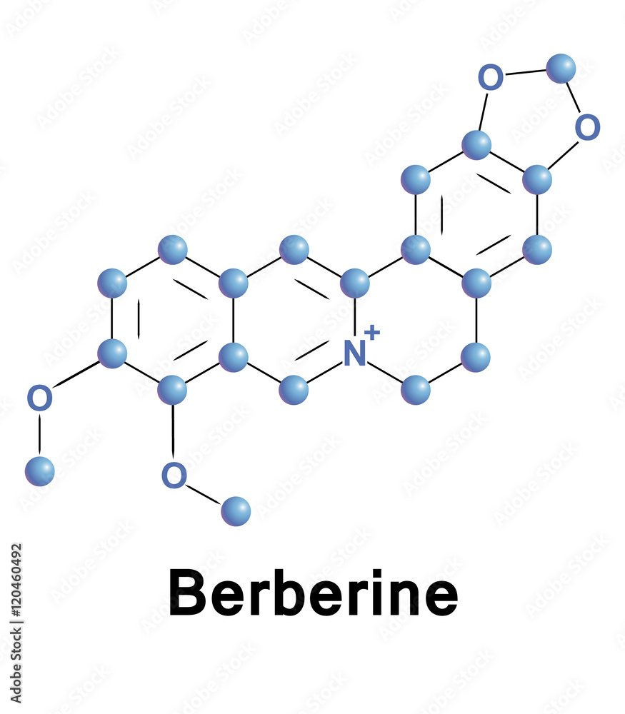 Berberine molecule structure Stock Vector | Adobe Stock