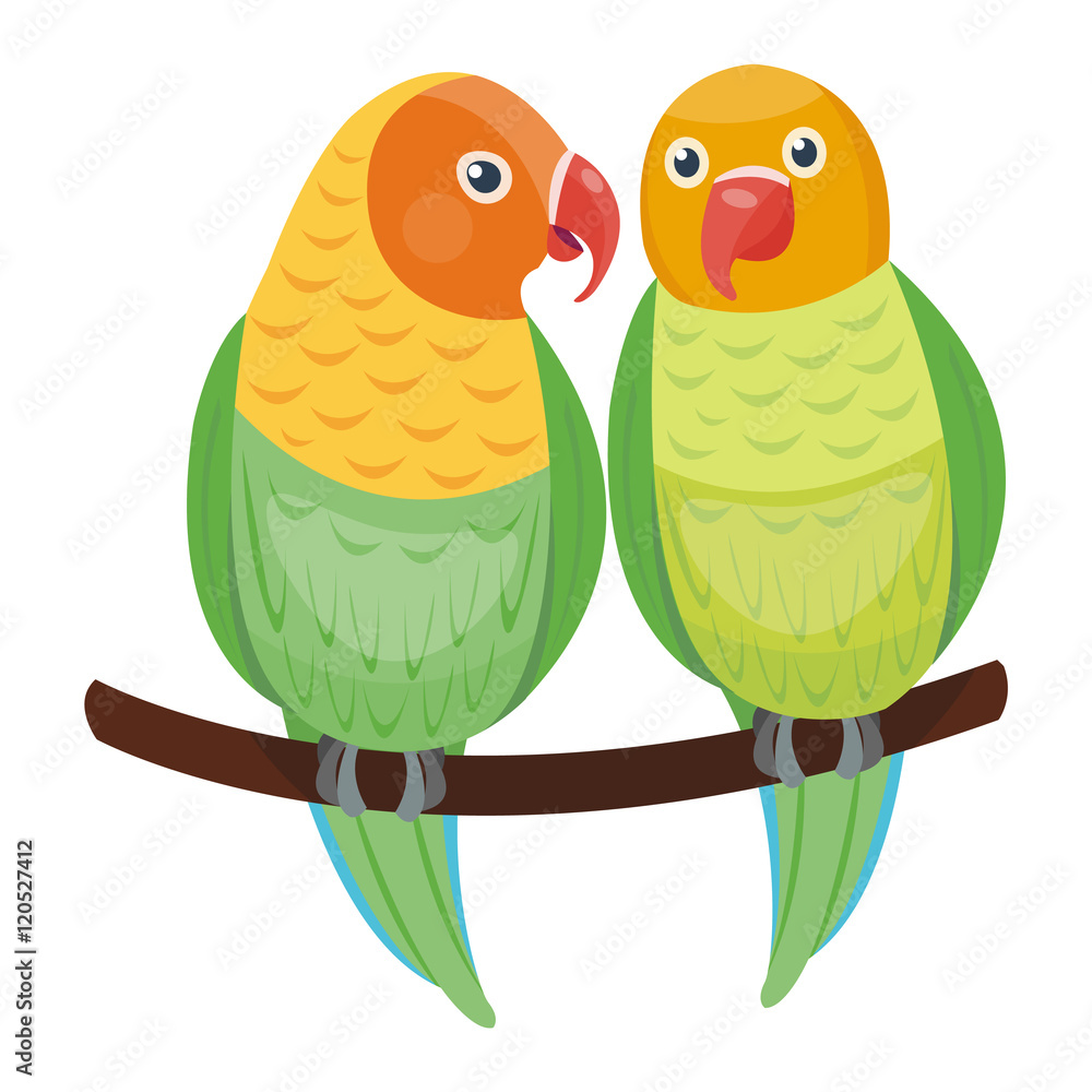 Cartoon parrots couple set and parrots wild animal birds. Tropical ...