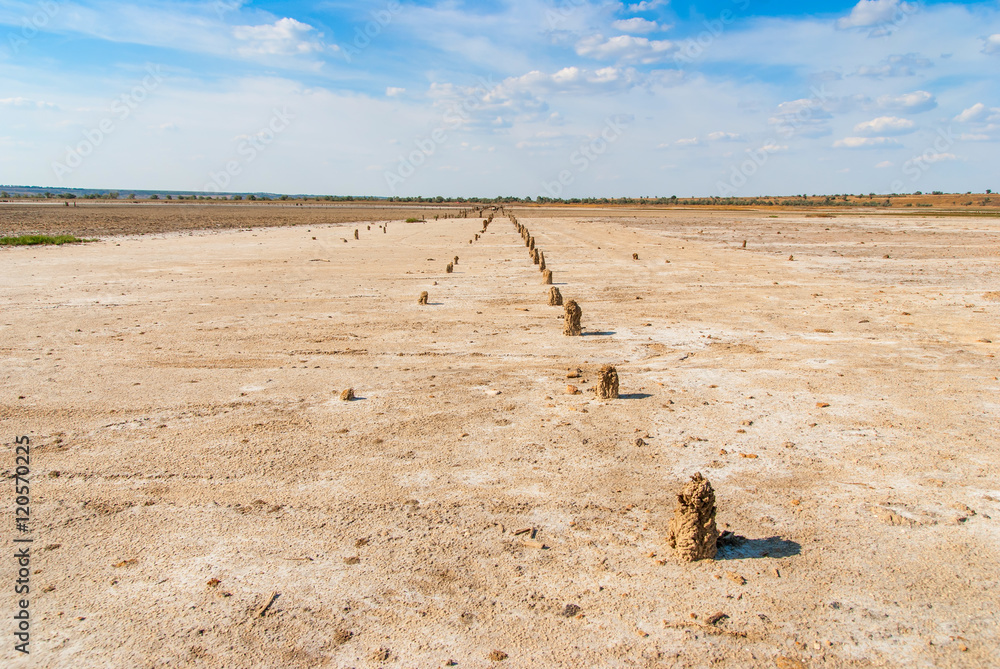 Petrified tree stubs on the lake, Kuyalnik, Ukraine Stock Photo | Adobe ...