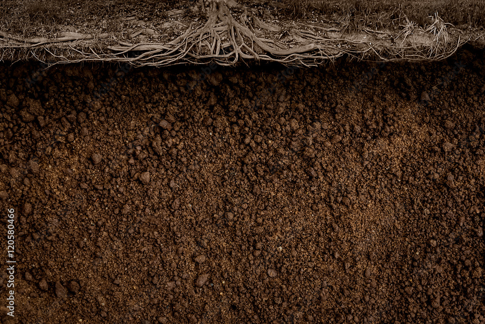 Soil texture background Stock Photo | Adobe Stock