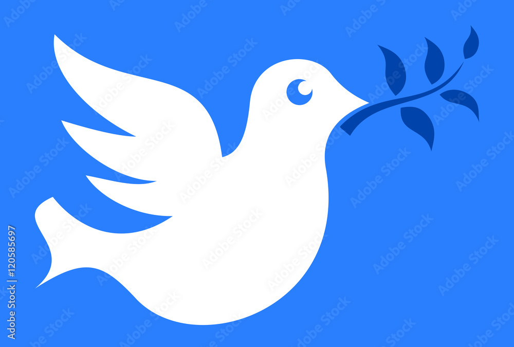 Dove with olive branch as symbol of peace and ceasefire after war and ...