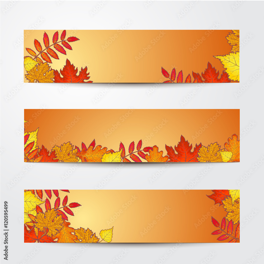 Set of banner templates with fall leaves, sketch style vector ...
